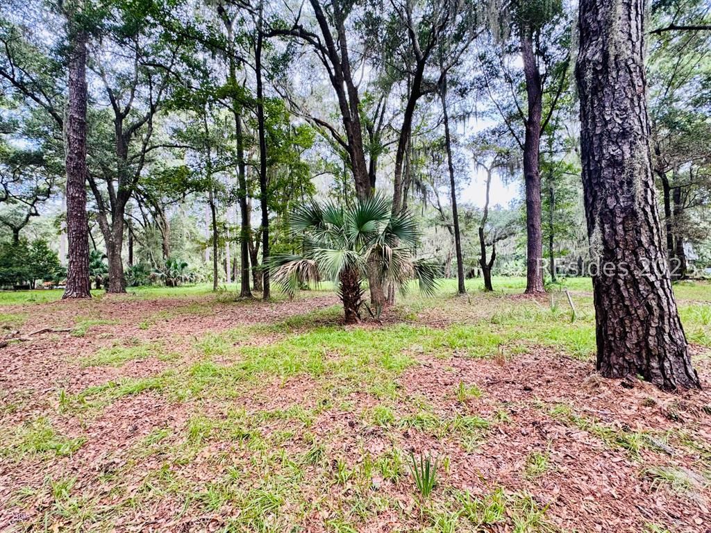 1113 Haig Point Road | Haig Point